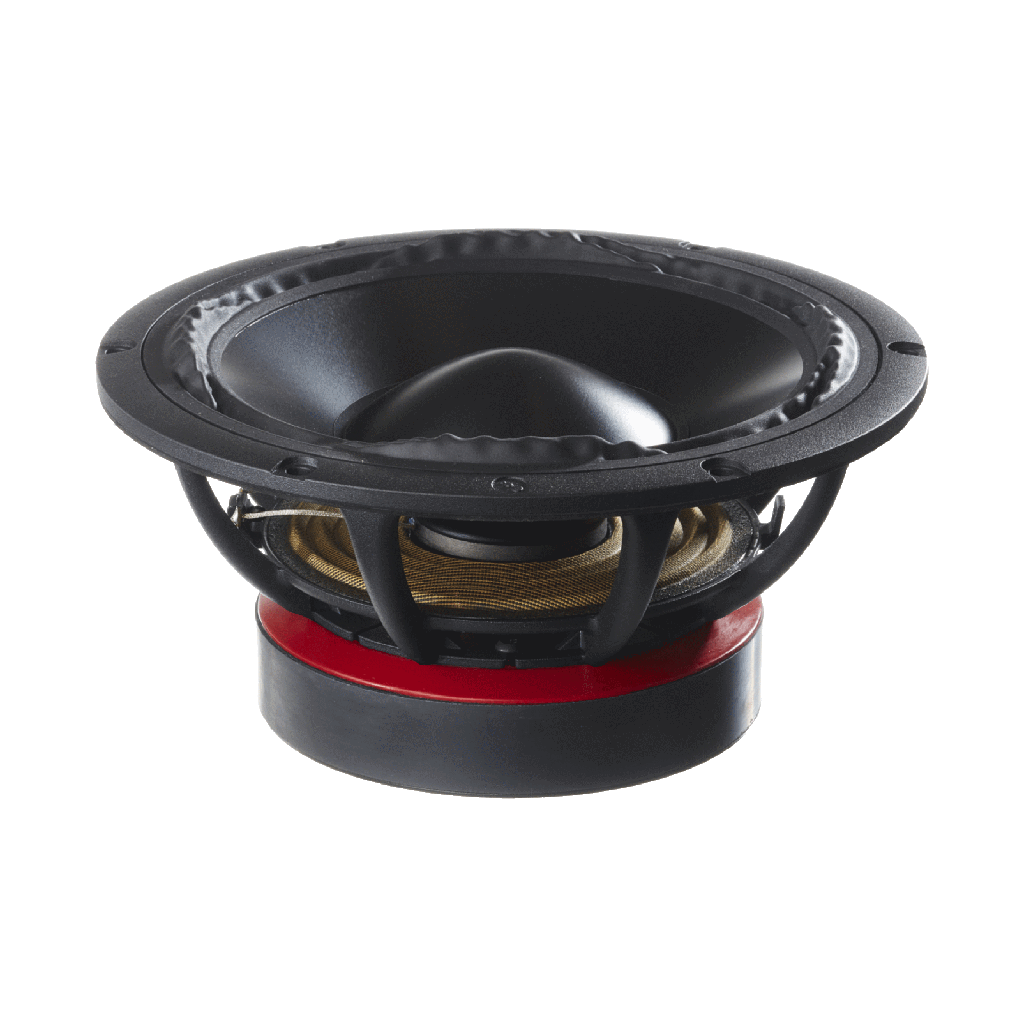 Sigberg Audio Saranna (fullrange, cardioid active floorstander ...